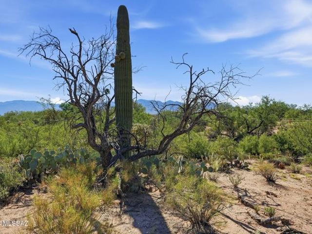 12680 N Caminito Al Sol, Tucson, AZ 85755