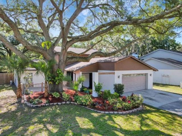 12603 Rain Forest St, Temple Terrace, FL 33617