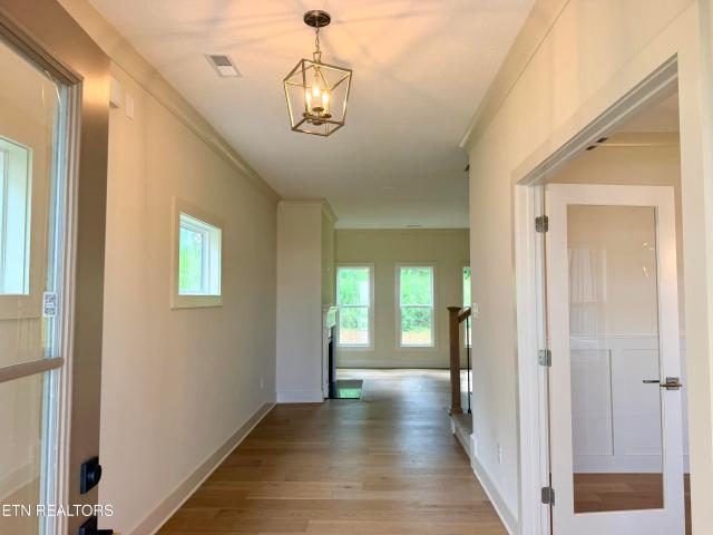 12604 Izzy Mule Lane