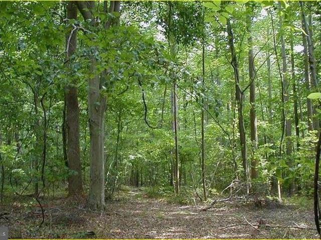 12605 Cedarville Rd, Brandywine, MD 20613