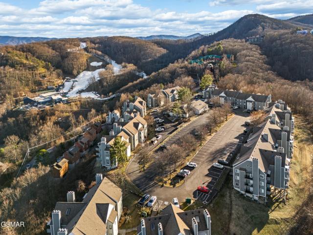 1260 Ski View Dr # 3308