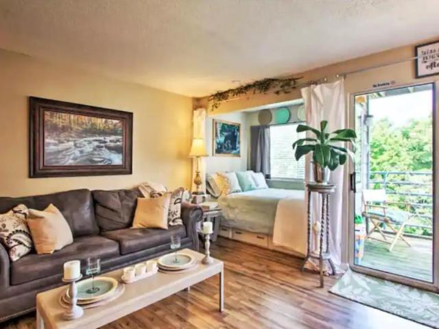 1260 Ski View Drive 2207