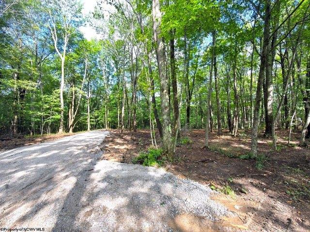 1261 Beaver Creek Dr, Bruceton Mills, WV 26525