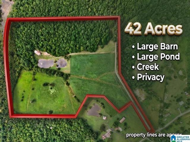 1261 Dogwood Ln, Piedmont, AL 36272