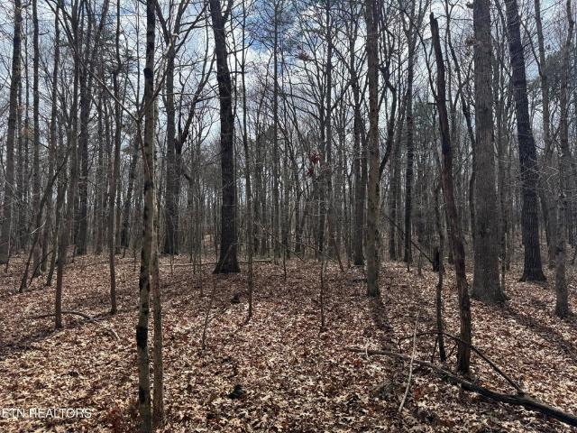 1261 Roanoke Rd