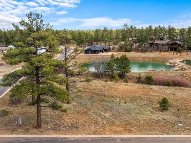 1261 S Lakeside Trl, Show Low, AZ 85901