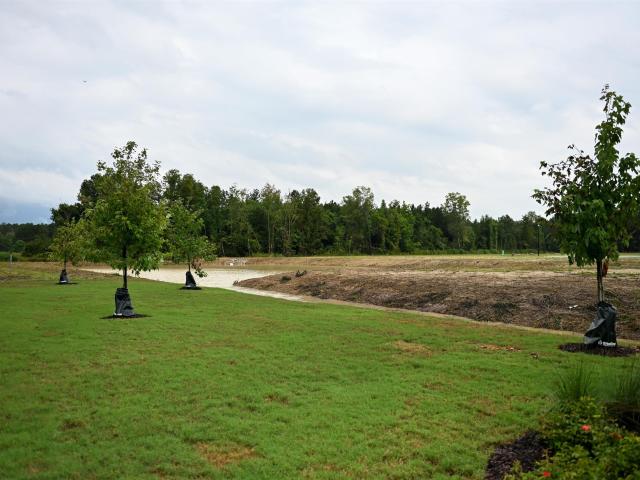 12624 Bald Eagle Dr, Denham Springs, LA 70726 | MLS #BR2025010