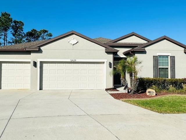 12629 Palapa Loop, Spring Hill, FL 34610