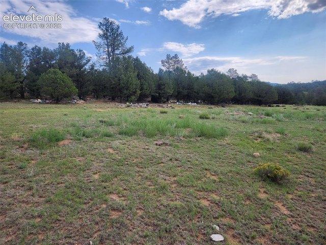 1262 35th Trl, Texas Creek, CO 81223