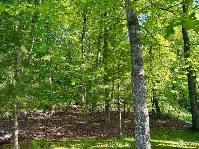 12639 Blackberry Trail