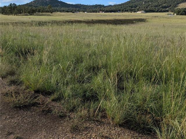 1263 23rd Trail