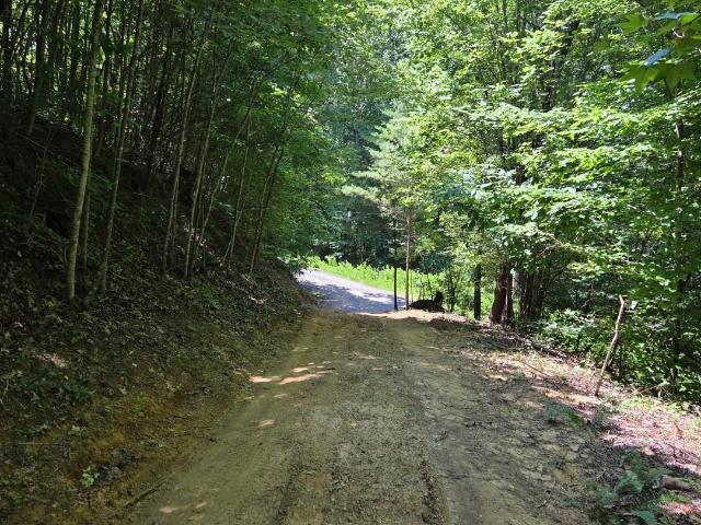 126 County Road 179