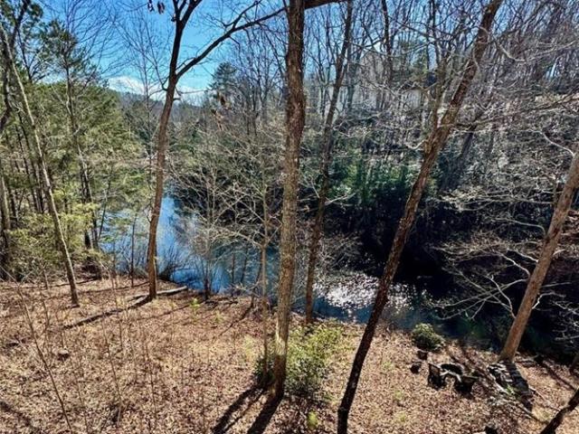 126 Colt Ct, Jasper, GA 30143 | MLS #7738