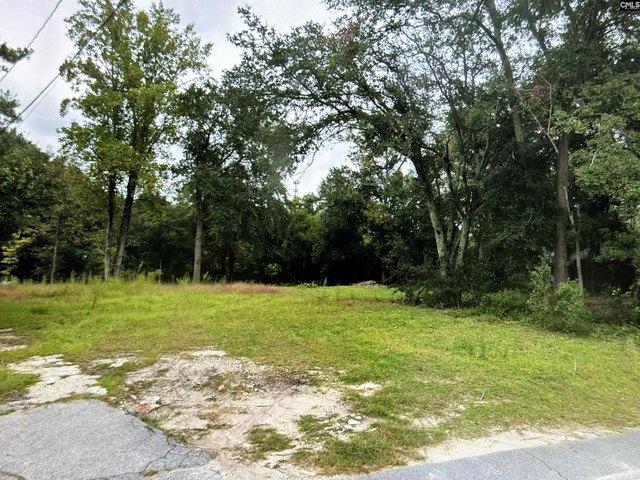 126 Broomfield St, Columbia, SC 29203