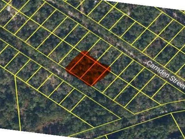 126 Grandale St, Georgetown, FL 32139 | MLS #O6426