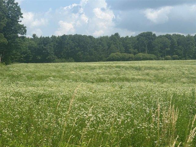 126 Delmauro Rd, Candor, NY 13743