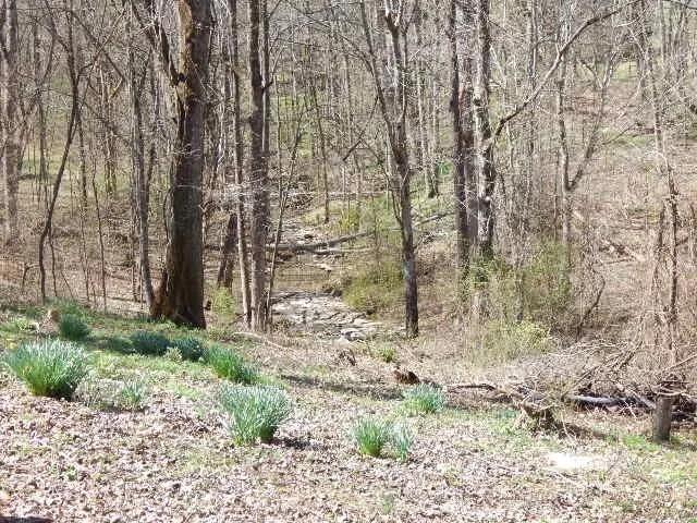 126 Jones Hollow Rd