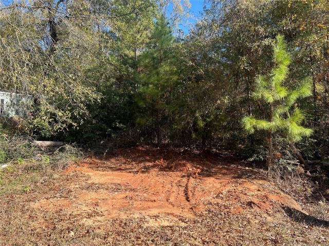 126 Moonlite Dr, Livingston, TX 77351 | MLS #16666