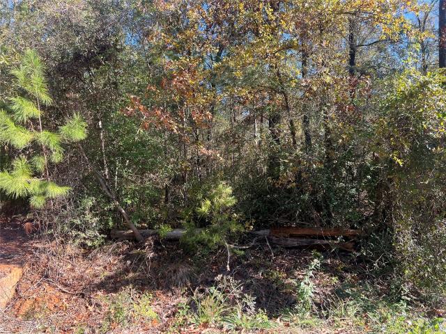 126 Moonlite Drive