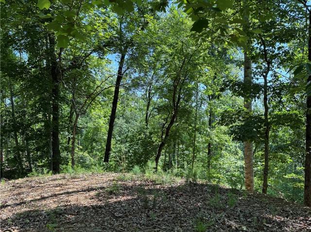 126 Summit Pine