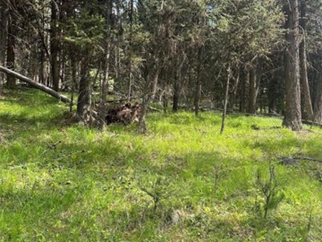 1274 Grandview Dr, Seeley Lake, MT 59868