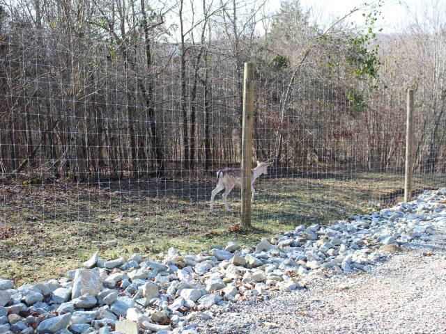 1275 nance bend rd