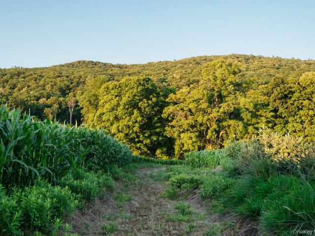 1275 Boston Corners Road