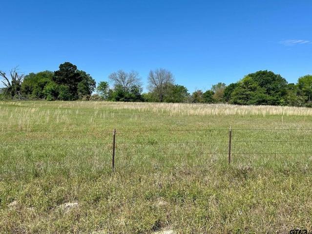 12764 County Road 1139, Tyler, TX 75709