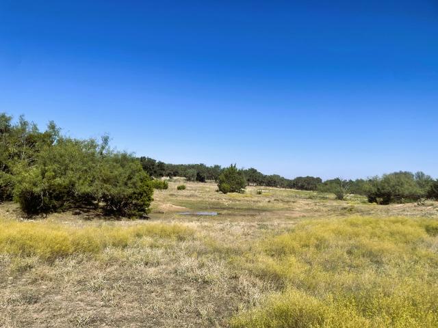 1276 Fm 574 St W, Mullin, TX 76864 | MLS #9289