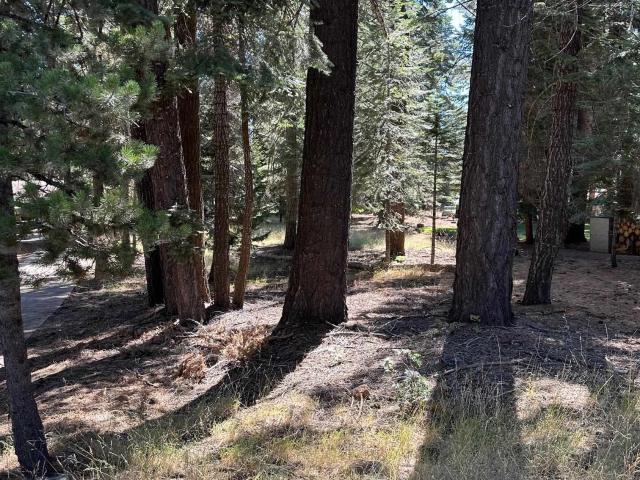 1276 Lassen View Dr, Lake Almanor, CA 96137 | MLS #2600
