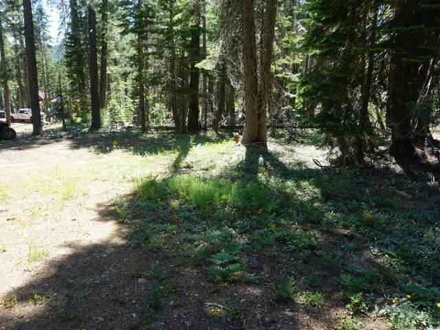 1278 Cleghorn Dr, Bucks Lake, CA 95956