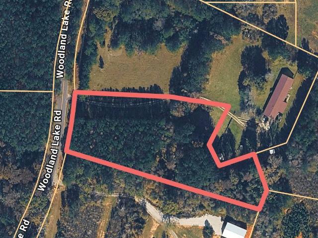 12799 Woodland Lake Road # 11