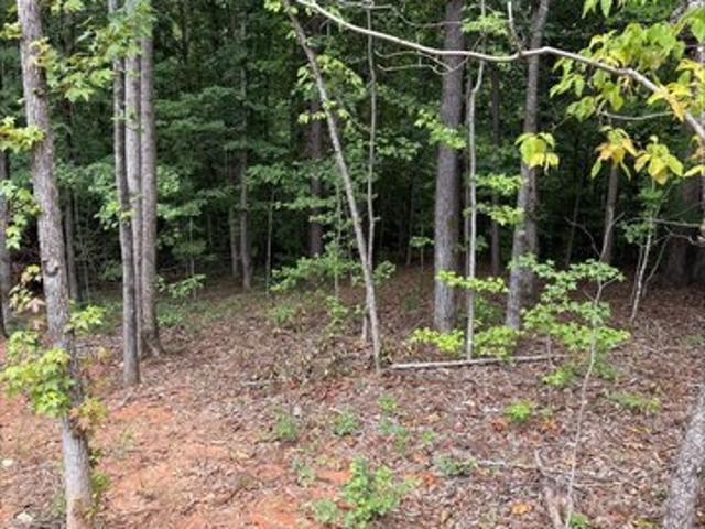 1270 Cunningham Rd, Greensboro, GA 30642
