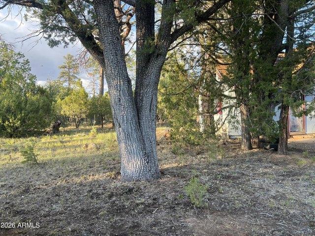1270 Green Ridge Dr, Happy Jack, AZ 86024