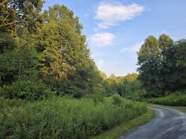 1271 Menominee River Rd, Florence T Wi, 54121