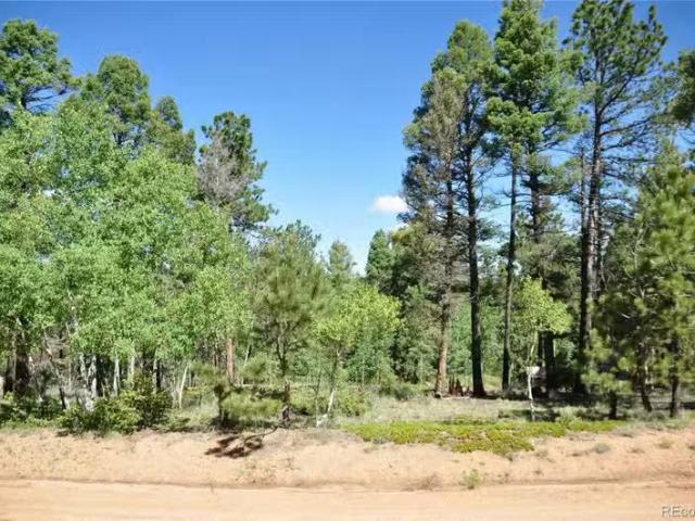 1271 RANGEVIEW RD, DIVIDE, CO 80814 Vacant Land For Sale MLS#.