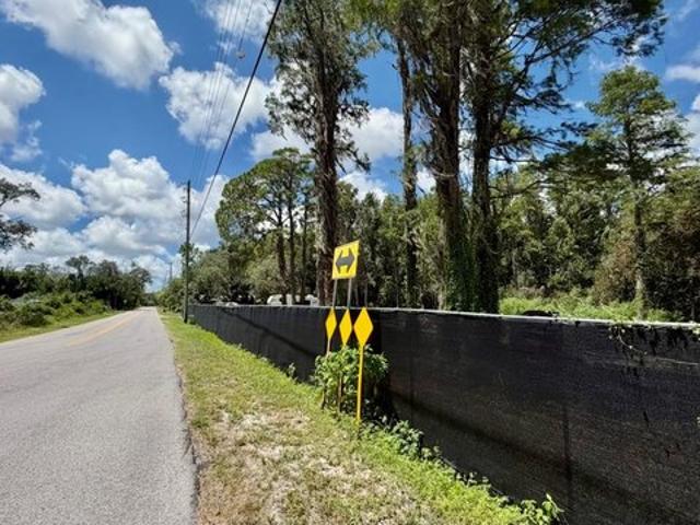 12735 Oconee Blvd, New Port Richey, FL 34654
