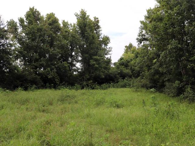 127 County Road 190, Liberty, TX 77575 | MLS #21156