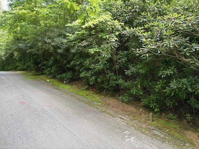 127 Conifer Falls Road