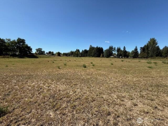 127 Anglers Ln, Chehalis, WA 98532 | MLS #2427