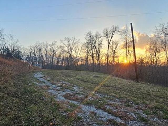 127 Diamond Ridge Rd, Webbville, KY 41180