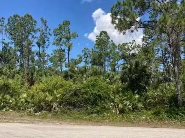 127 KINDRED BLVD, PORT CHARLOTTE, FL 33954 Vacant Land For Sal.