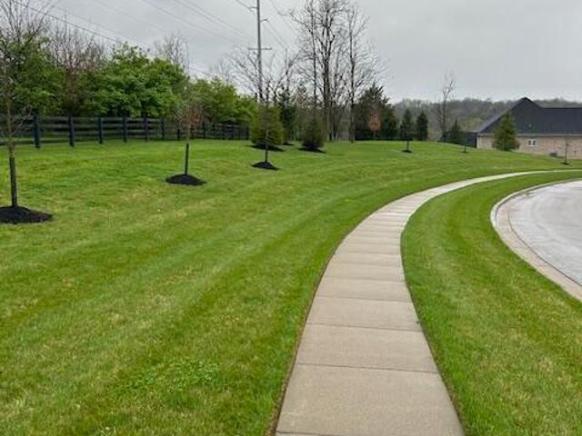 127 Locust Park Pl