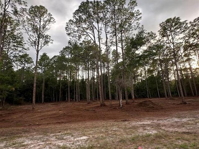 127 Longtree St, Georgetown, FL 32139 | MLS #O6390