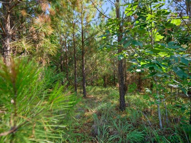 127 Legacy Point Trail