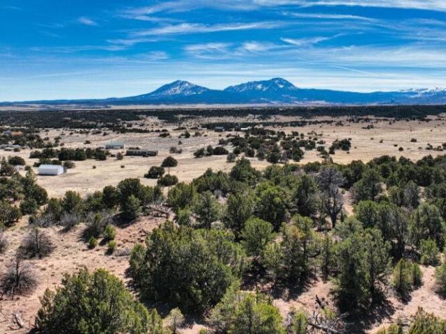 127 Navajo Ranch Resorts