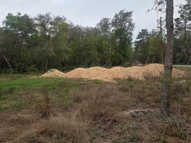 127 Sequoia Trl, Ocklawaha, FL 32179