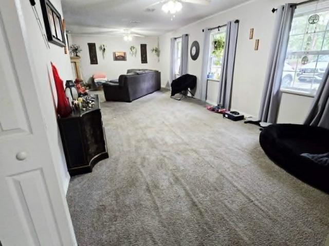 127 Peters Circle