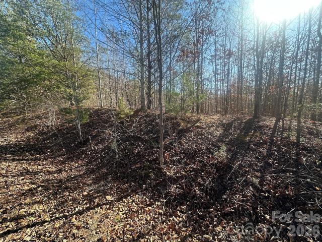 127 Robinwood Trail