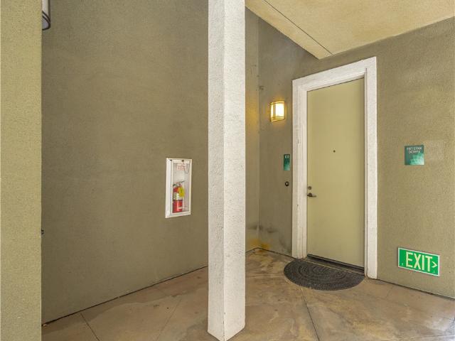 12842 Palm 101